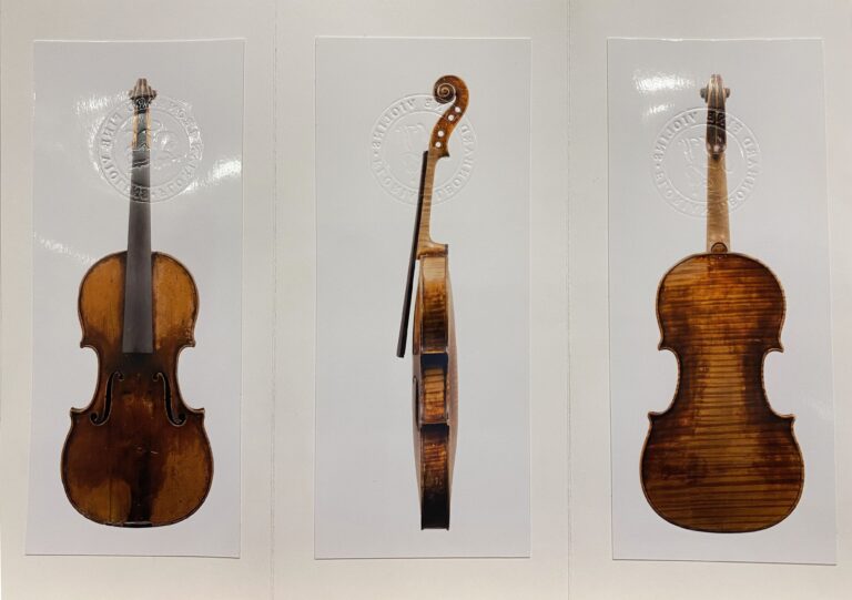 Nicolas Lupot violin Paris, 1798 - Darius Music